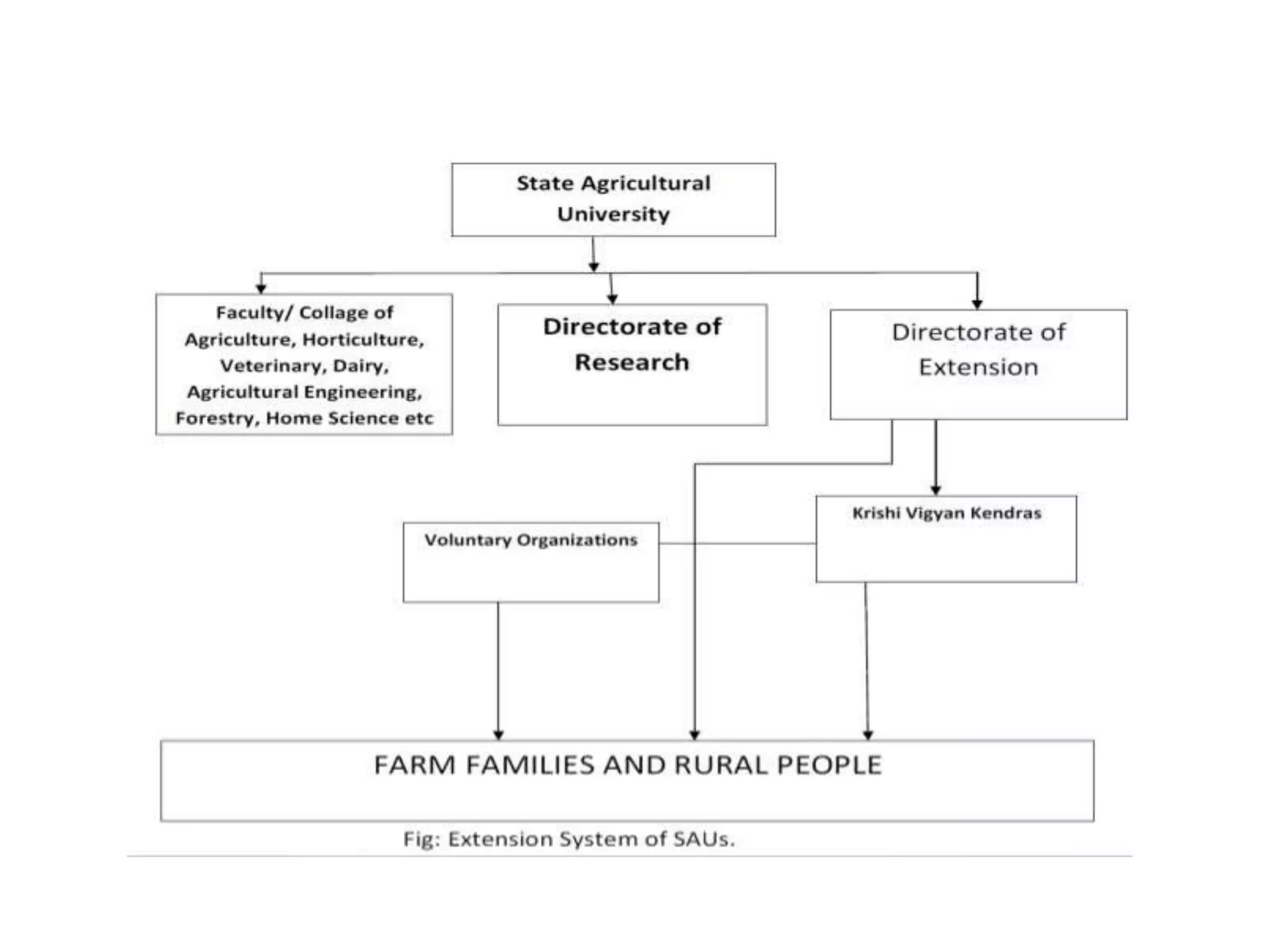 Practical 2 university extension system | PPTX