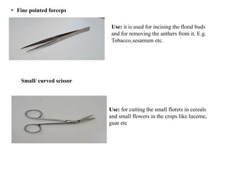 Practical 3.pptx king of kkkgddjjnfdddddd | PPTX