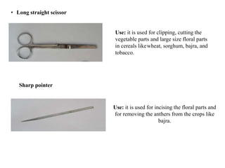 Practical 3.pptx king of kkkgddjjnfdddddd | PPTX