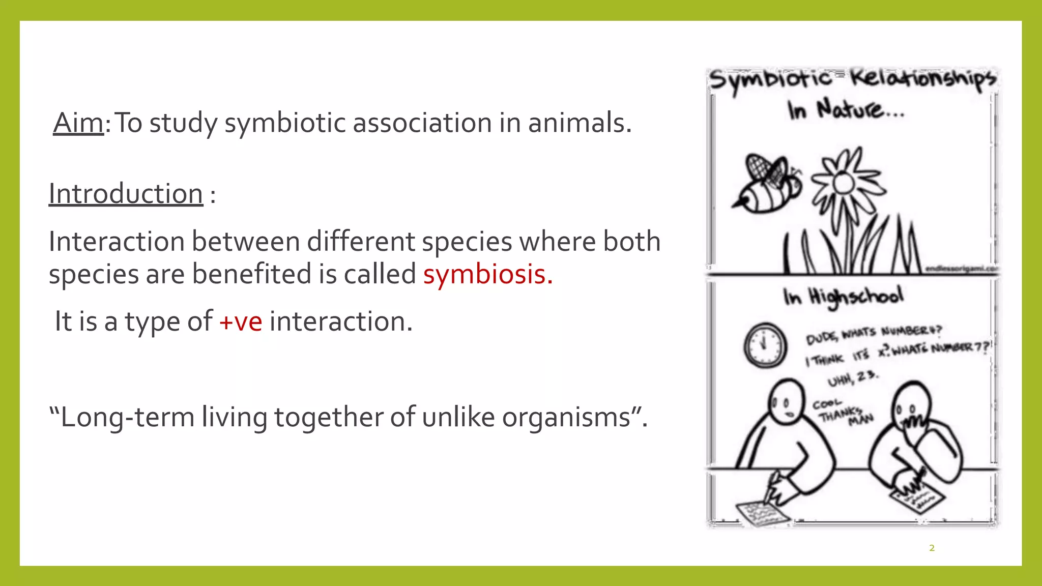 PRACTICAL 3- SYMBIOSIS & CAMOUFLAGE (1).pptx