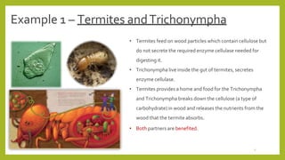 PRACTICAL 3- SYMBIOSIS & CAMOUFLAGE (1).pptx