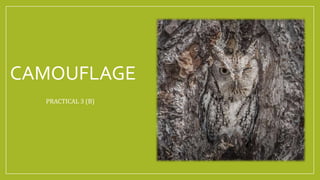 PRACTICAL 3- SYMBIOSIS & CAMOUFLAGE (1).pptx