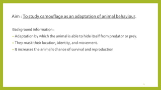 PRACTICAL 3- SYMBIOSIS & CAMOUFLAGE (1).pptx