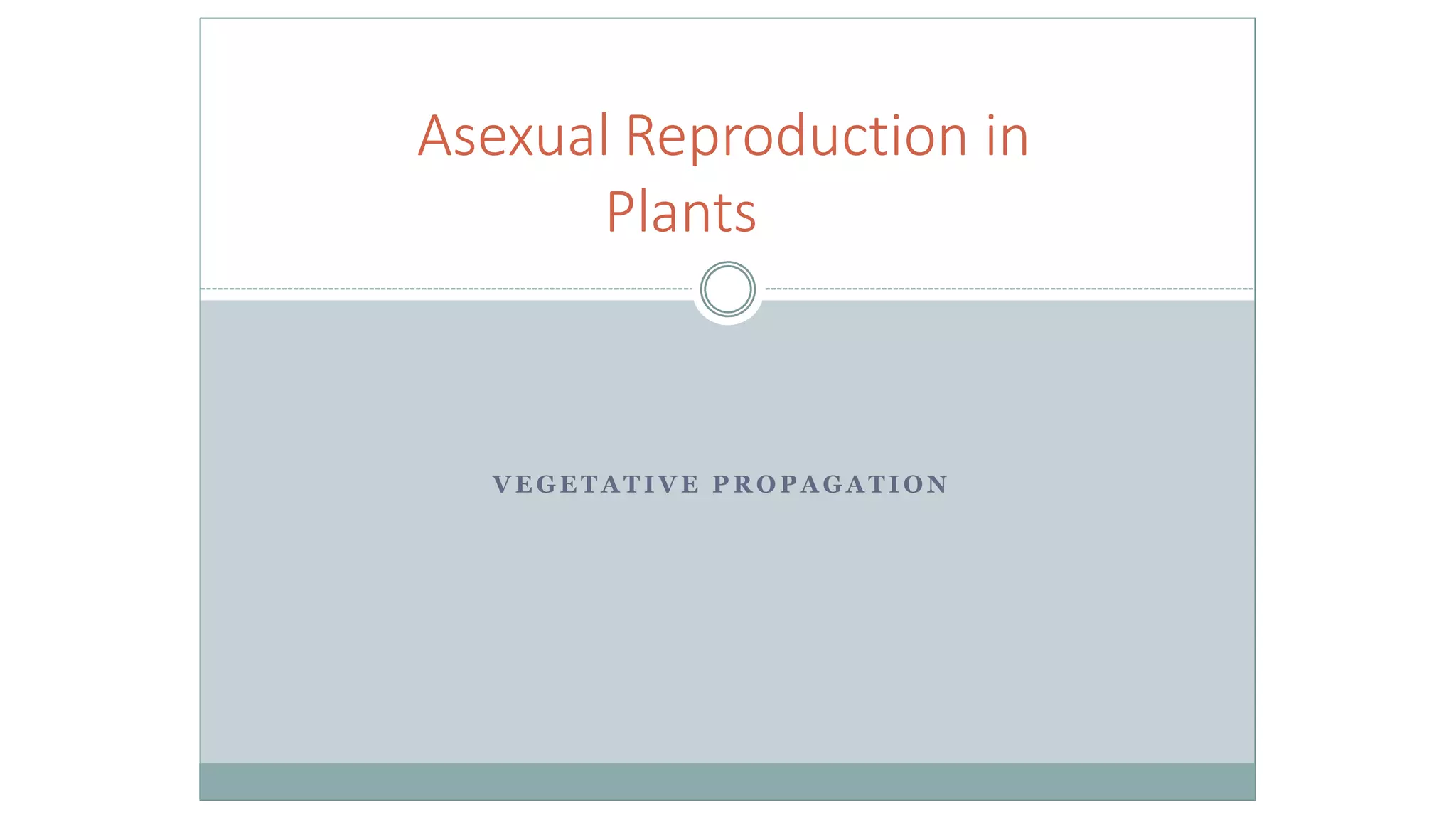 Asexual reproduction intro | PPT