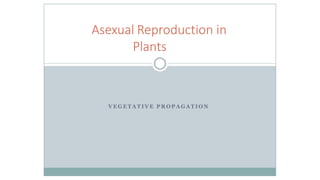 Asexual reproduction intro | PPT