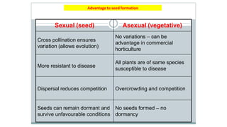 Asexual reproduction intro | PPT