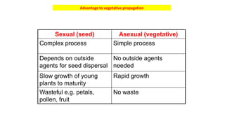 Asexual reproduction intro | PPT