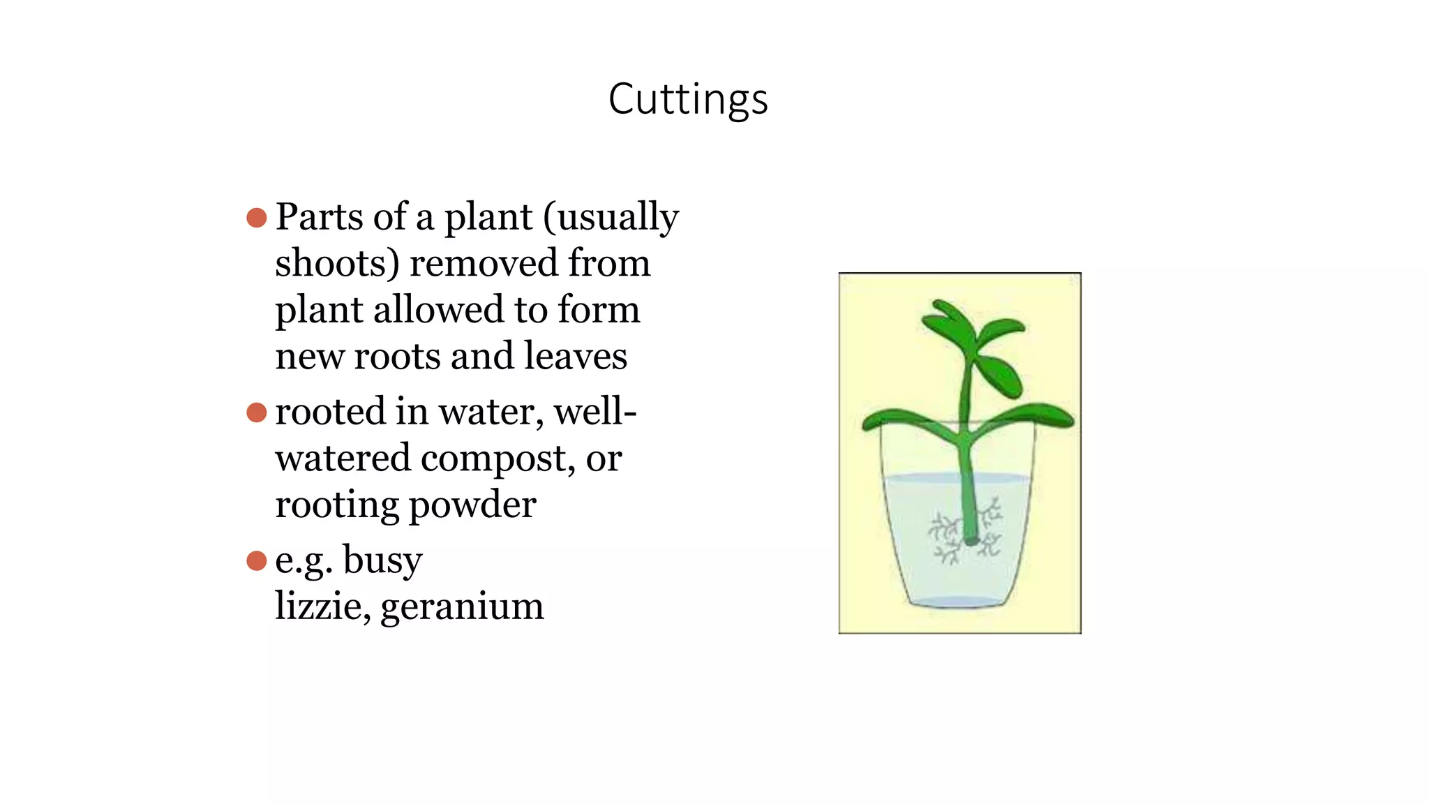 Cutting propagation | PPTX