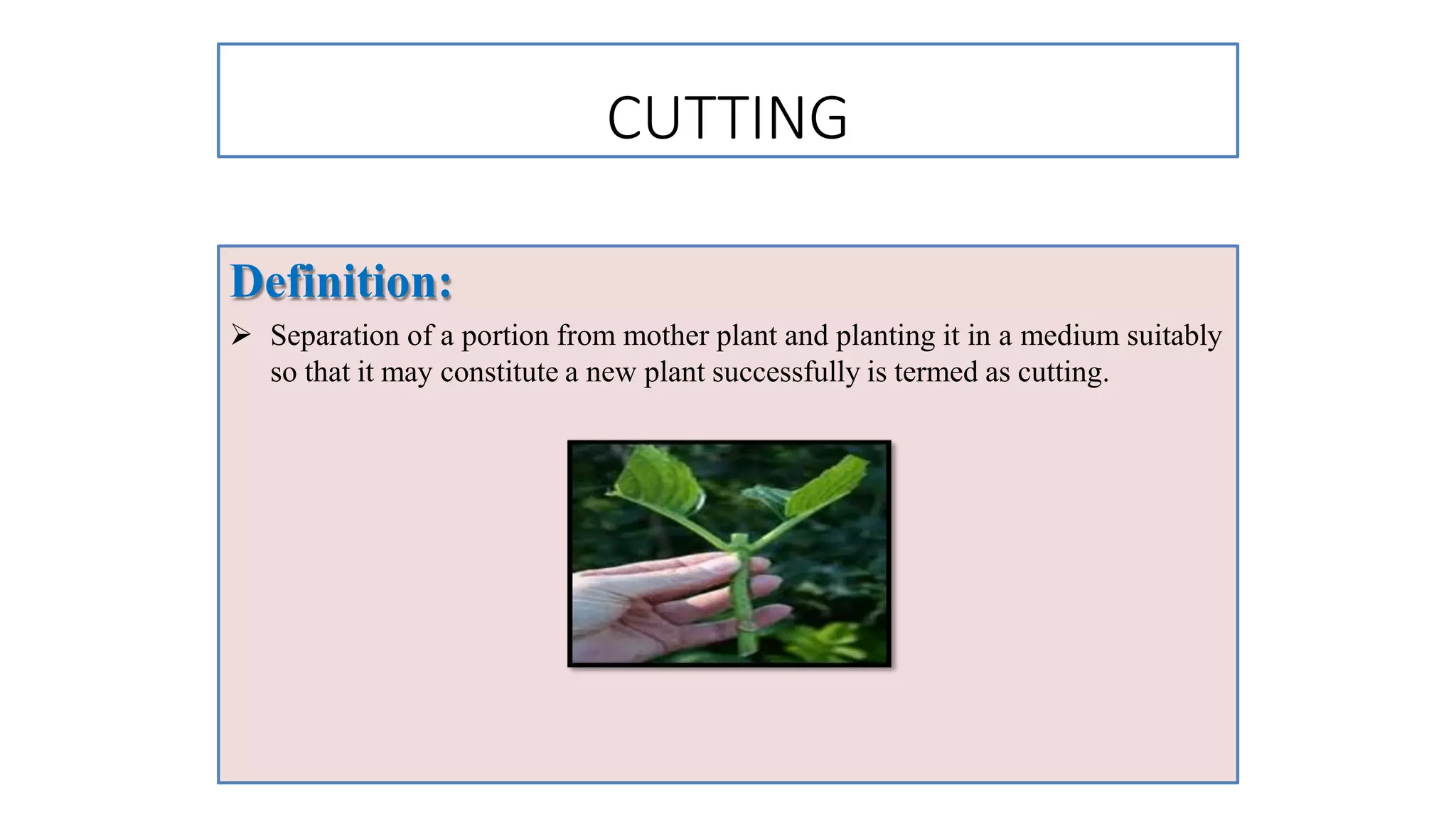 Cutting propagation | PPTX