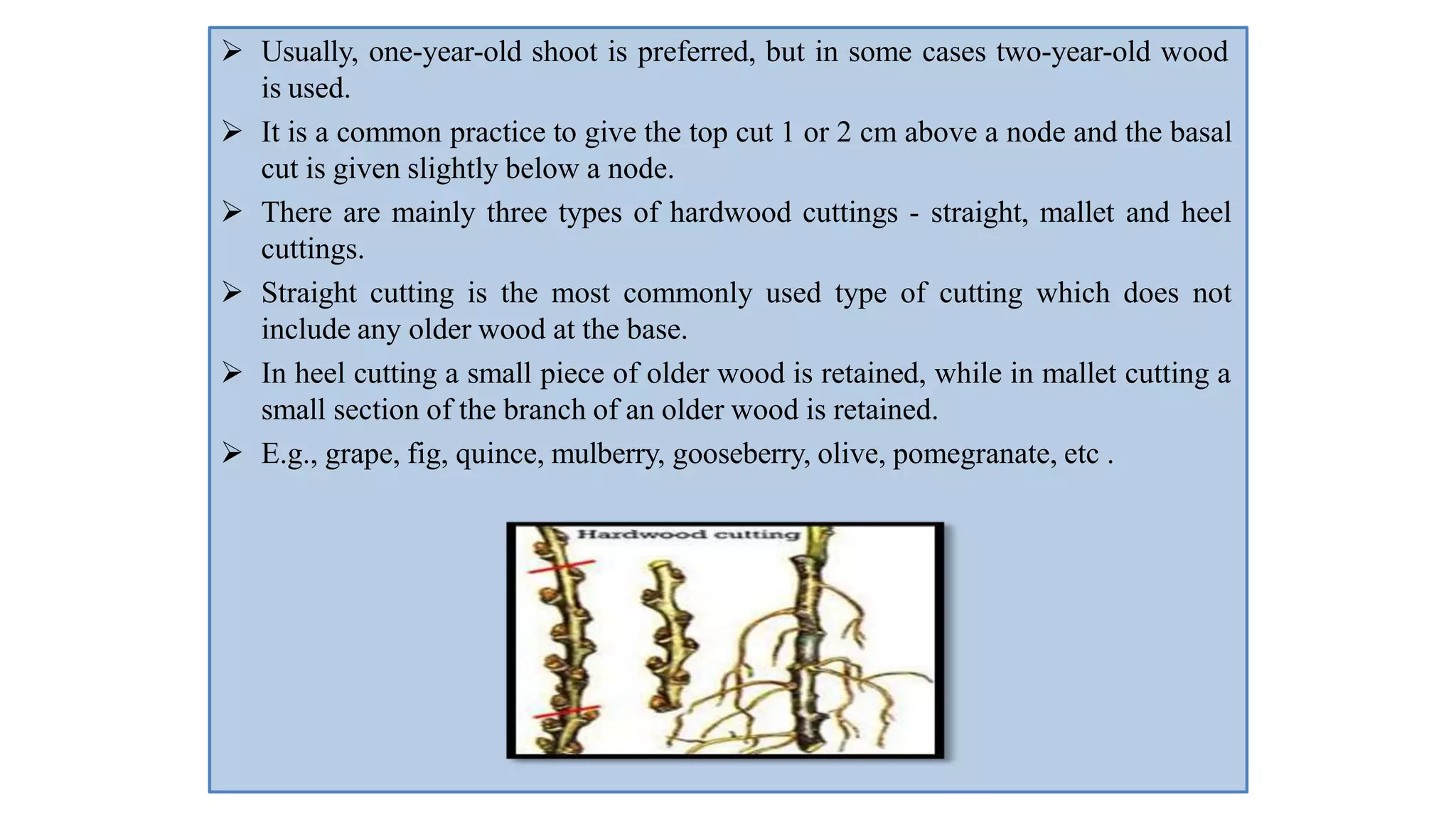 Cutting propagation | PPTX