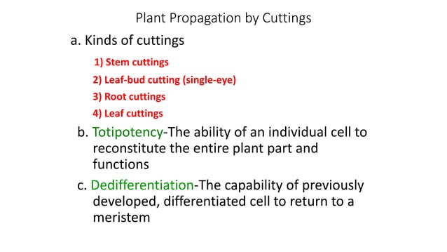 Cutting propagation | PPTX