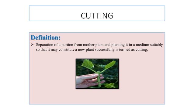 Cutting propagation | PPTX