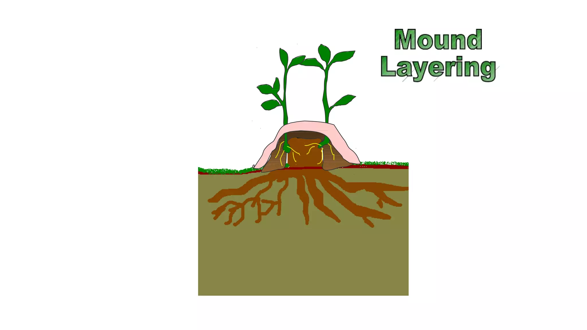 Layering propagation | PPTX