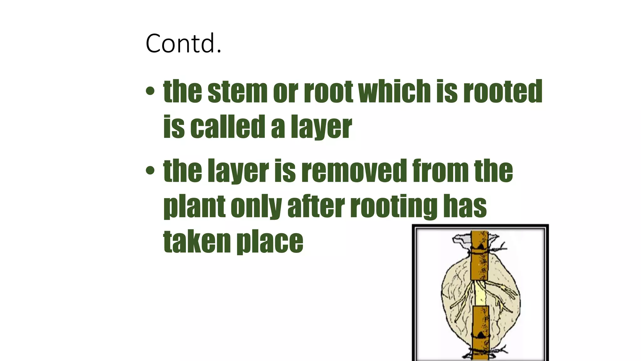 Layering propagation | PPTX