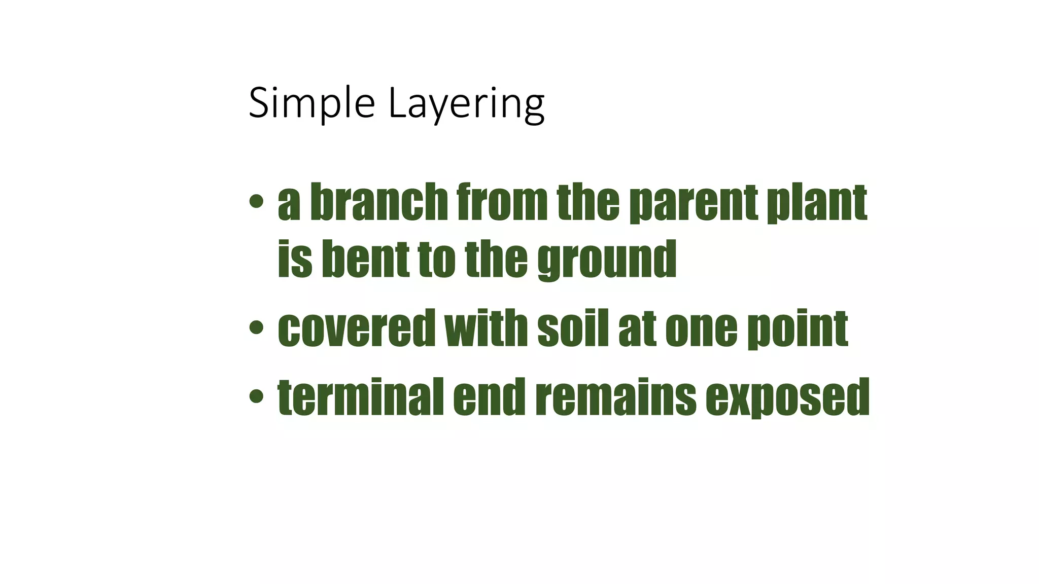 Layering propagation | PPTX
