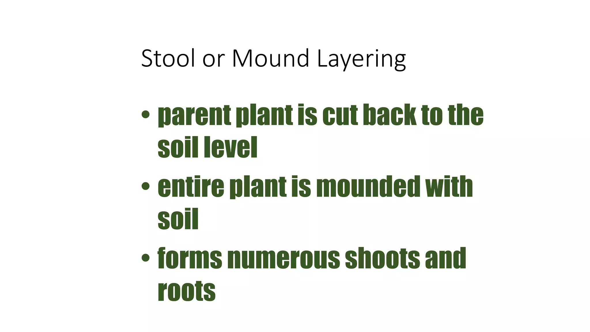 Layering propagation | PPTX