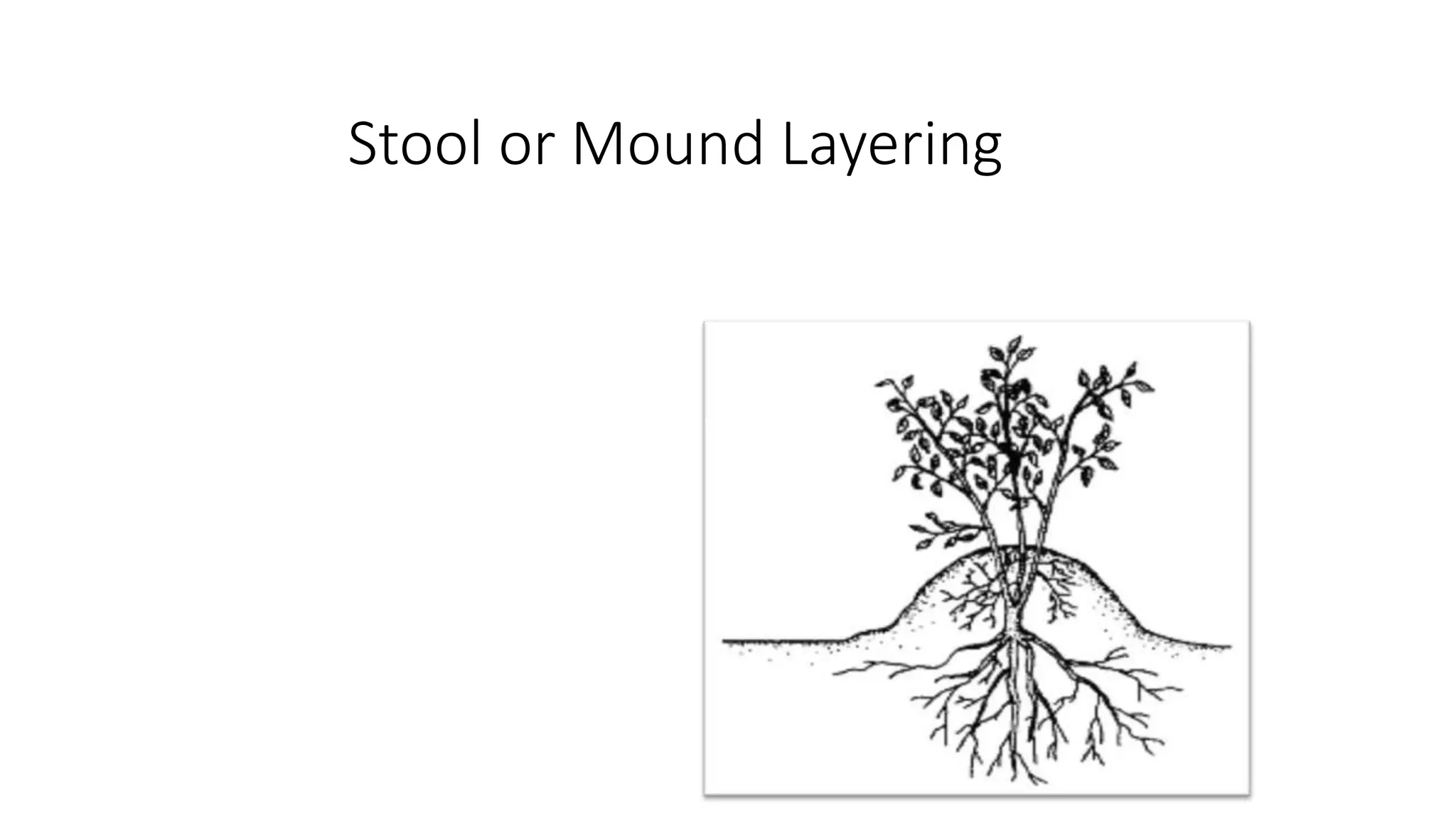 Layering propagation | PPTX