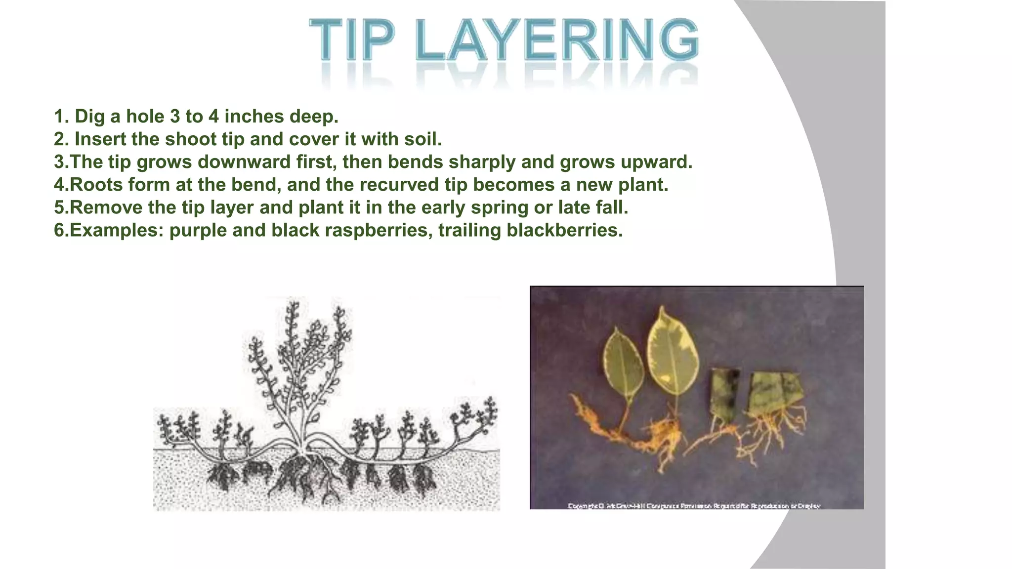 Layering propagation | PPTX