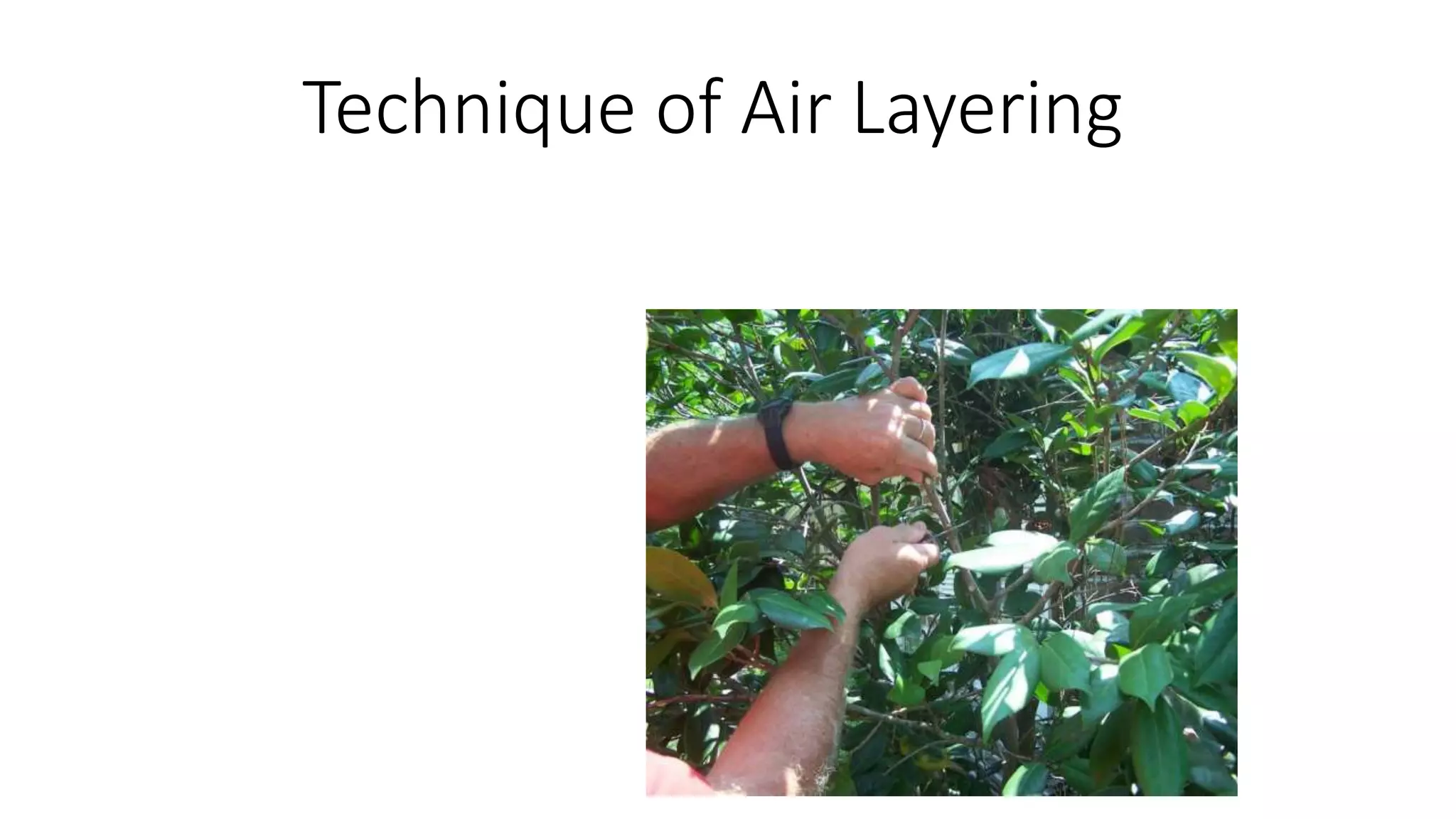 Layering propagation | PPTX