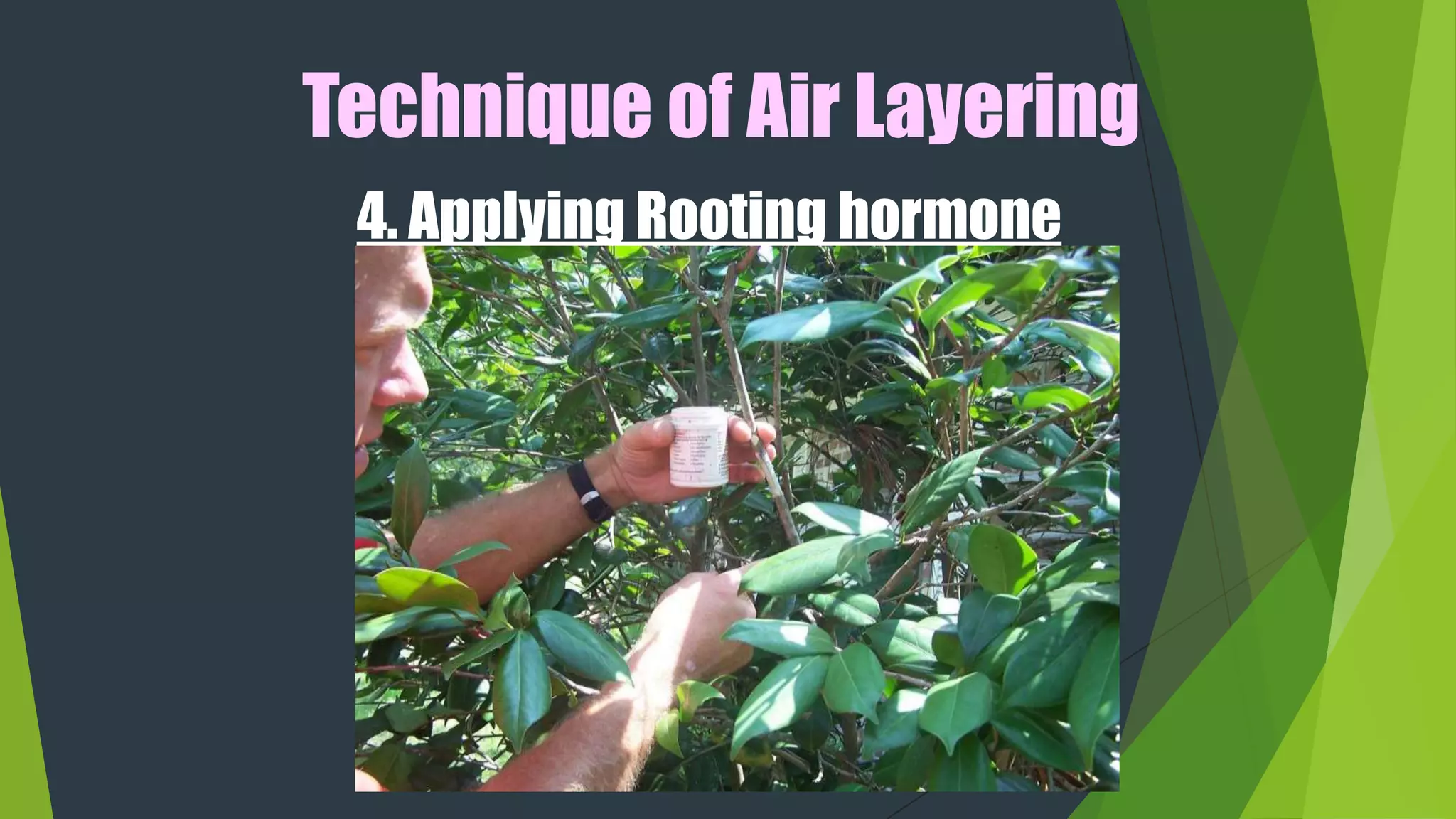 Layering propagation | PPTX