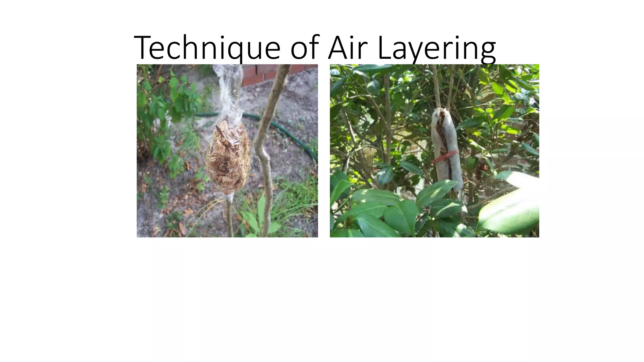 Layering propagation | PPTX