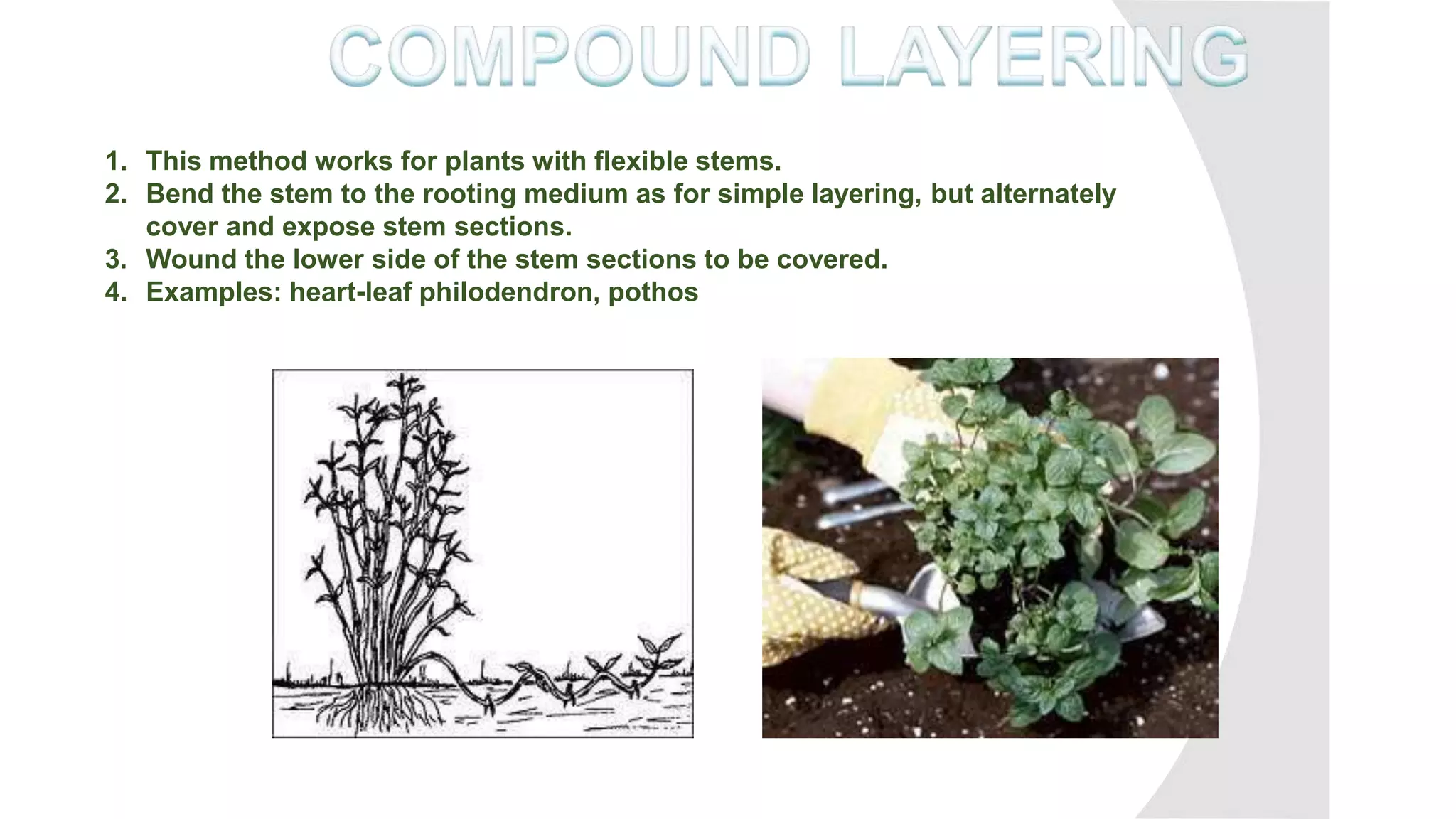 Layering propagation | PPTX