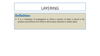Layering propagation | PPTX