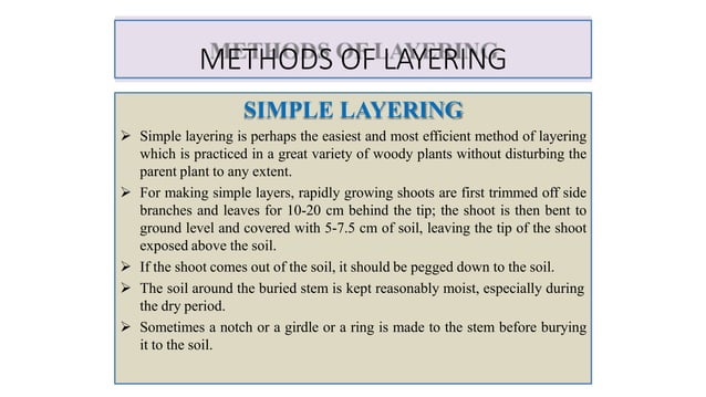 Layering propagation | PPTX