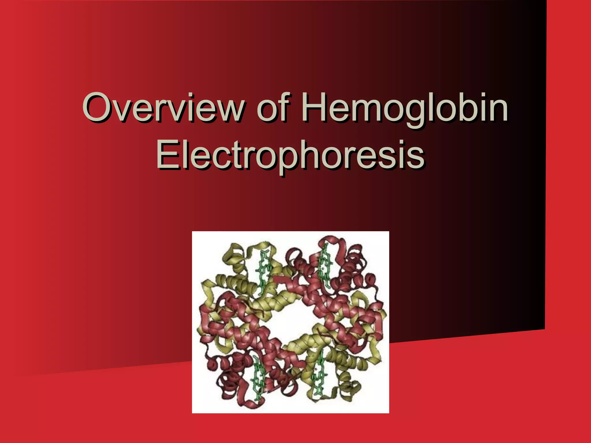 Hemoglobin Electrophoresis (Biochemistry) | PPT