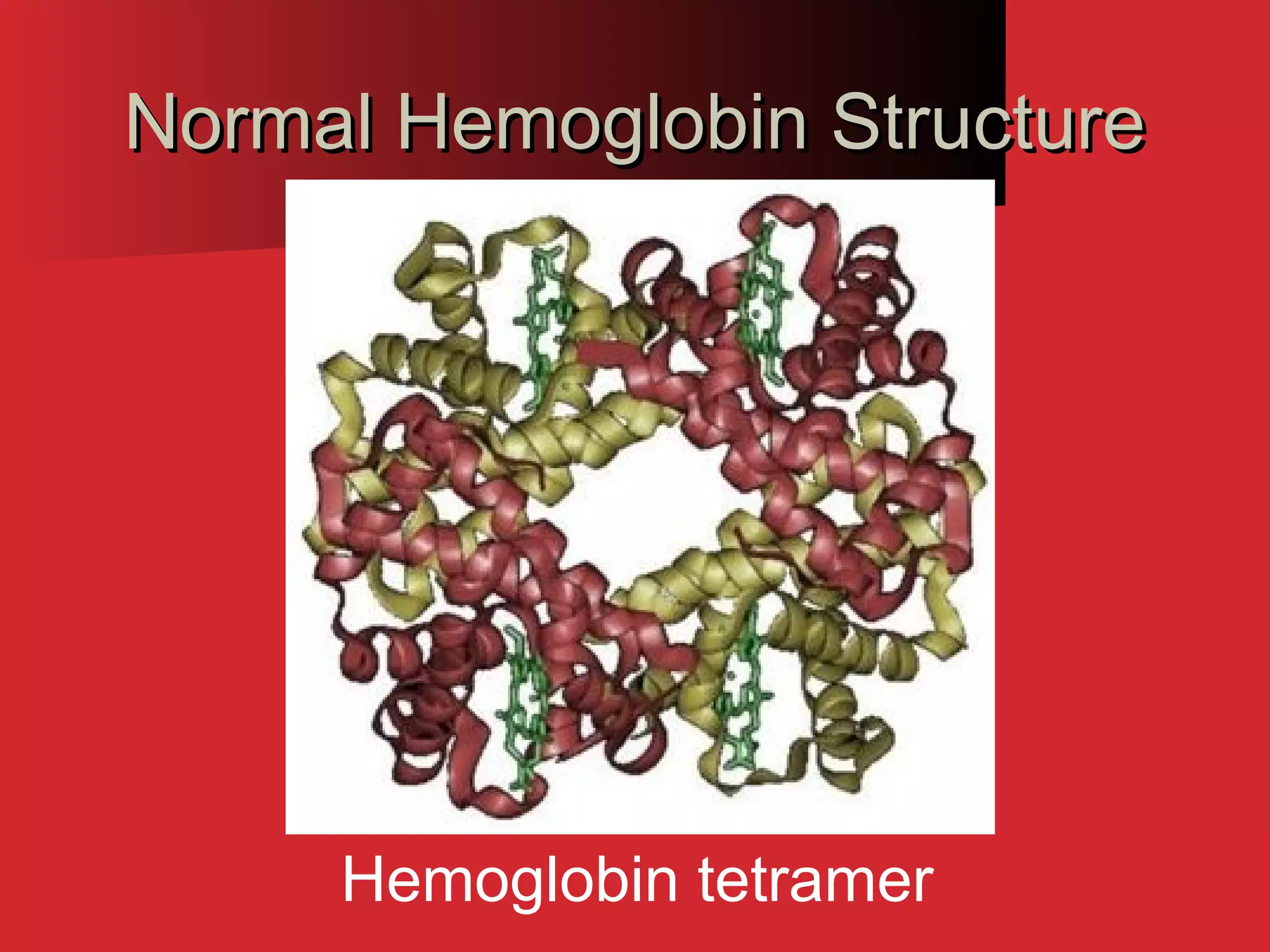 Hemoglobin Electrophoresis (Biochemistry) | PPT