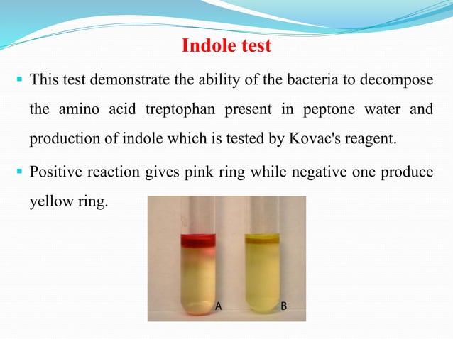 Practical 40 biochemical test microbiology.pdf