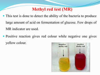 Practical 40 biochemical test microbiology.pdf