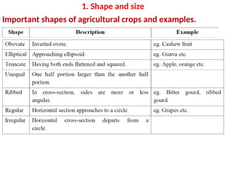 Practical 4 Experiment on determination of shape and size of the cereal ...