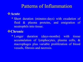 Practical 4 Inflammation.ppt