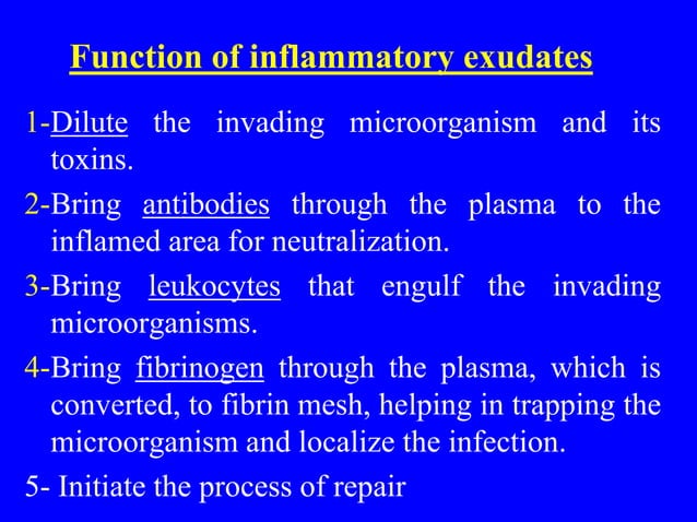 Practical 4 Inflammation.ppt