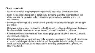 rootstock in fruit crops | PPTX