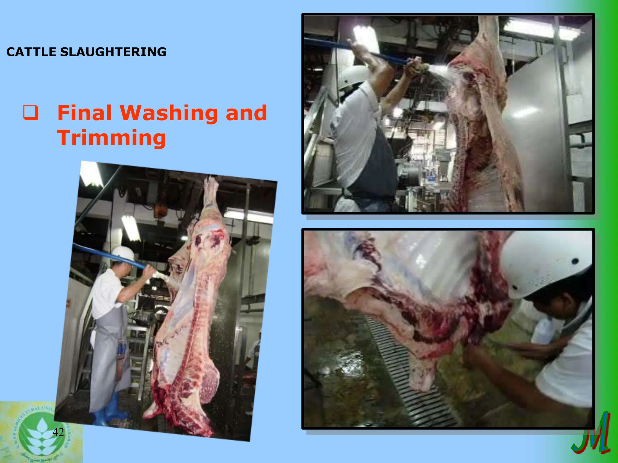 Practical no 5 Animals Slaughtering.pptx