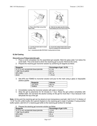 Practical 5 sds page | DOC