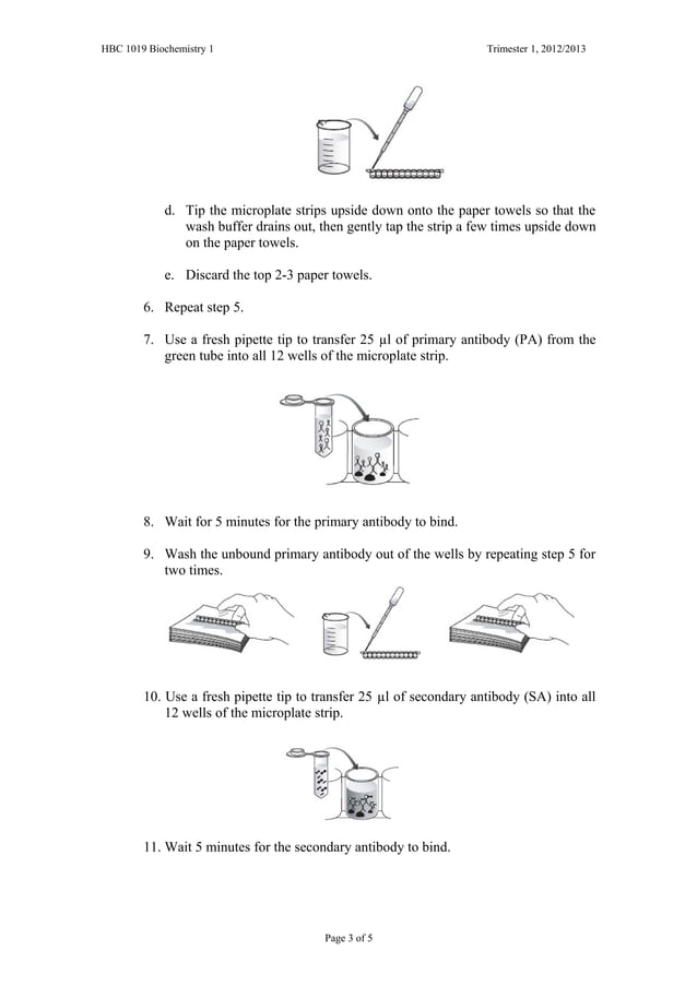 Practical 6 elisa | DOC | Chemistry | Science