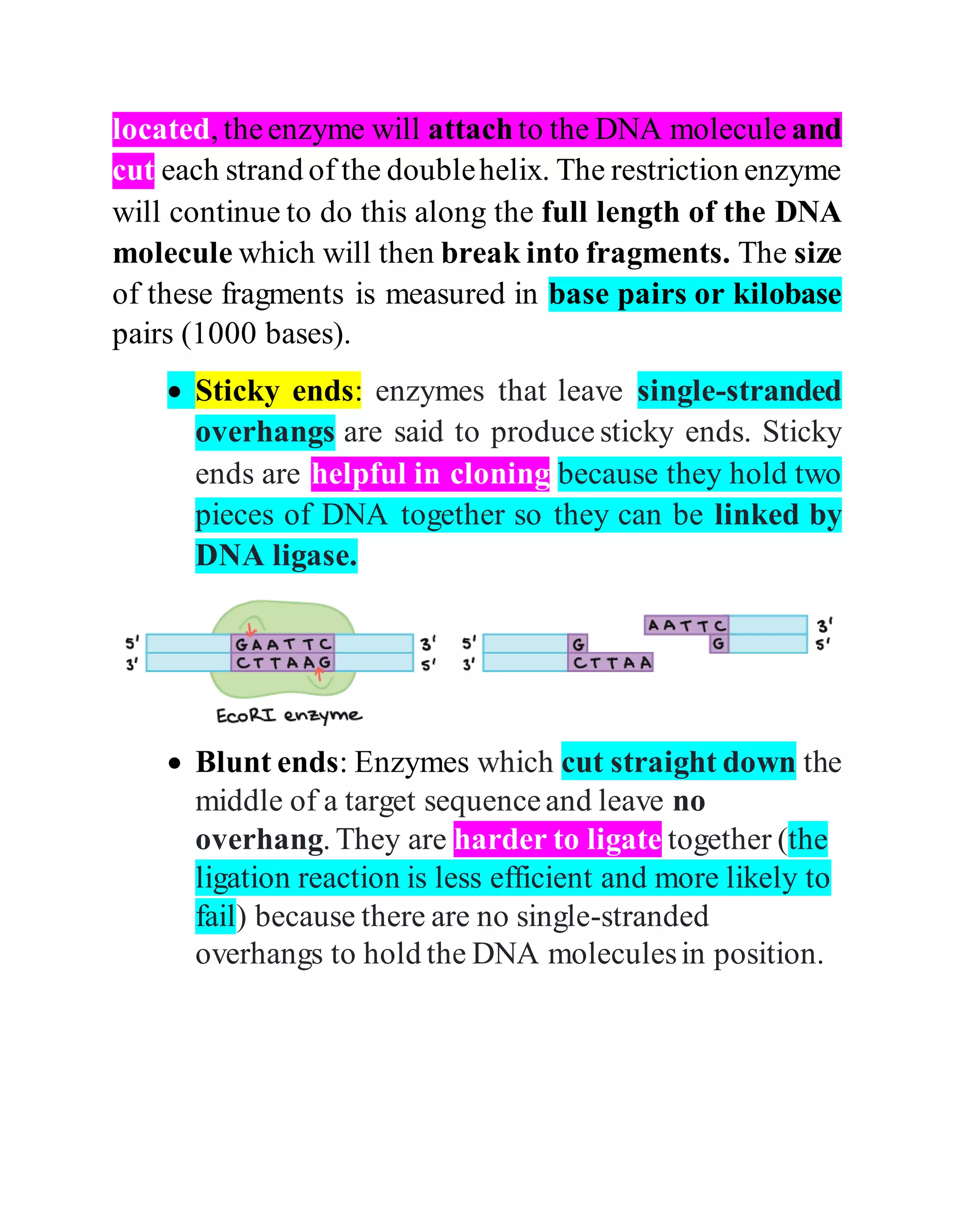 Restriction of bacterial plasmid by Restriction Enzymes Practical | DOCX
