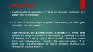 Practical 7...predicting ptm (1) | PPTX