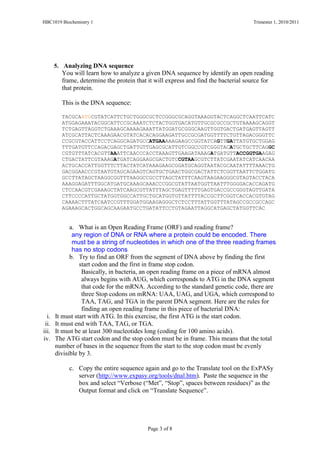 Practical 7 dna, rna and the flow of genetic information5 | DOC ...