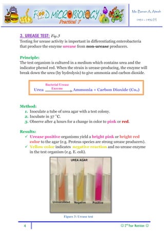 Identification_of_gram_-ve_bacteria | PDF | Chemistry | Science