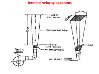 Practical 8 Determination of terminal velocity.ppt | Physics | Science