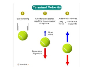Practical 8 Determination of terminal velocity.ppt | Physics | Science