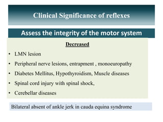Practical 8 reflexes | PPTX