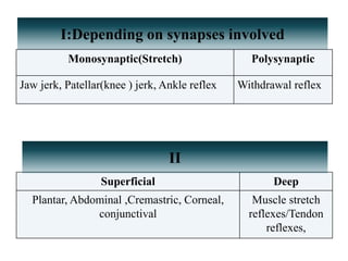 Practical 8 reflexes | PPTX