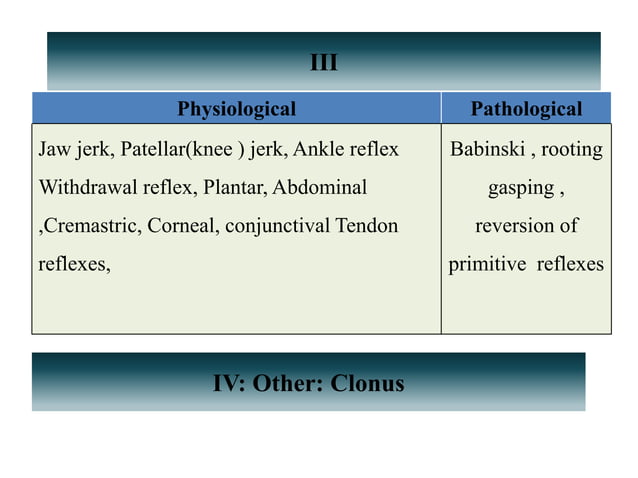 Practical 8 reflexes | PPTX