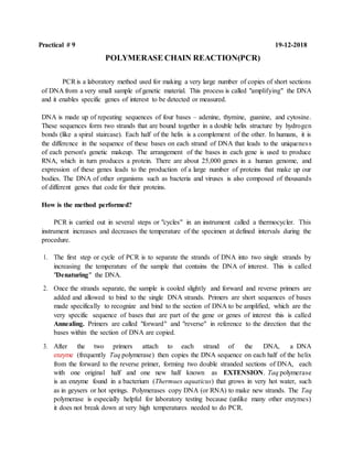 Polymerase Chain Reaction Practical | DOCX