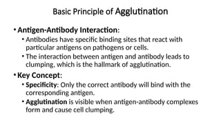 Practical Agglutination ABO blood group system | PPTX